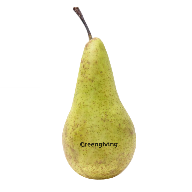 Peer met logo | Eco relatiegeschenk - Greengiving.nl