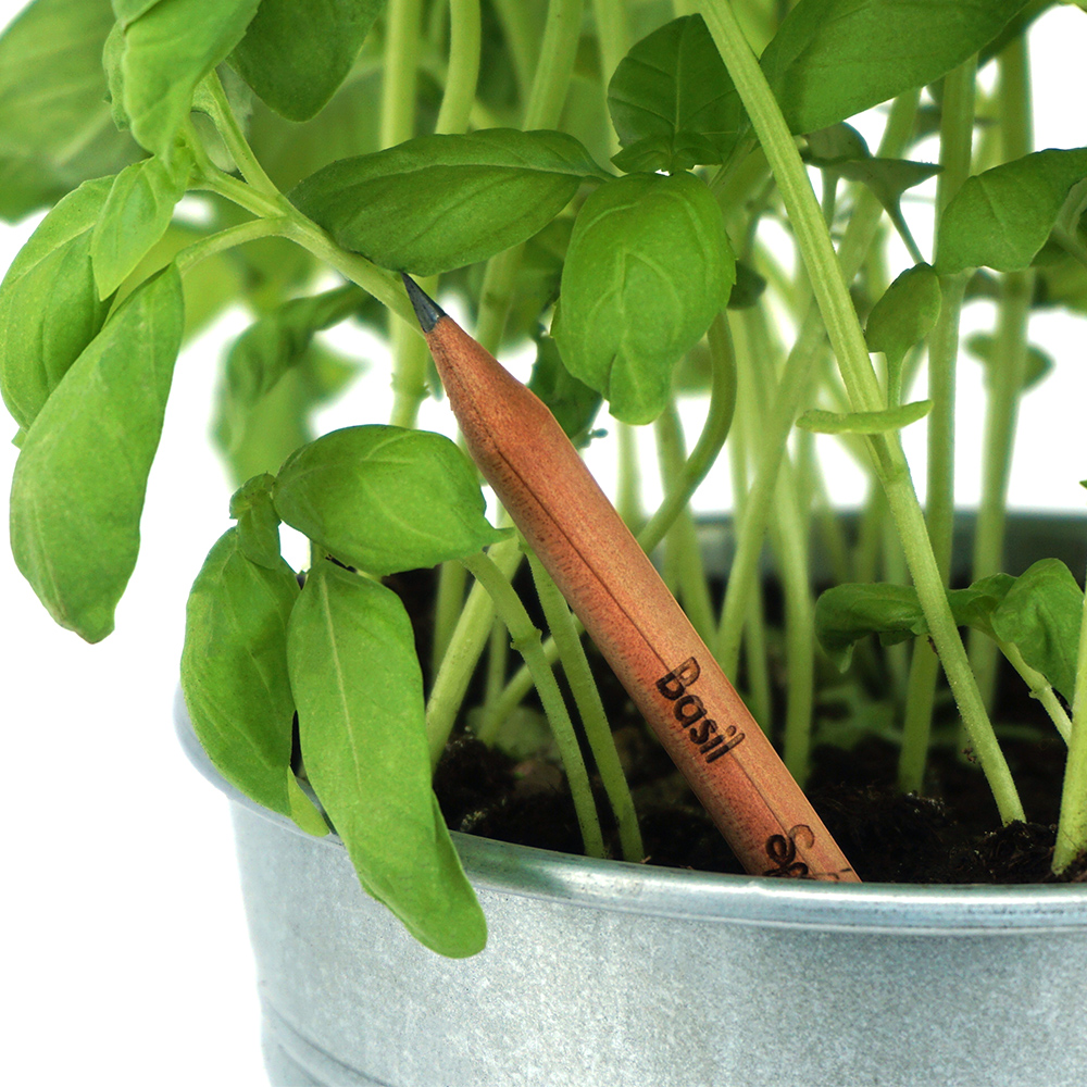 Sprout potlood | Eco relatiegeschenk - Greengiving.nl