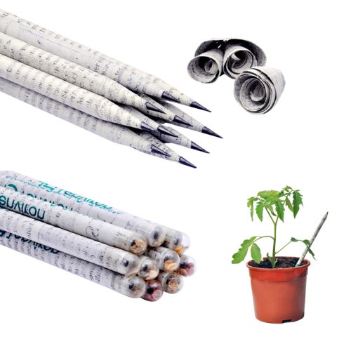 Sprout potlood met zaden | Eco geschenk - Greengiving.nl